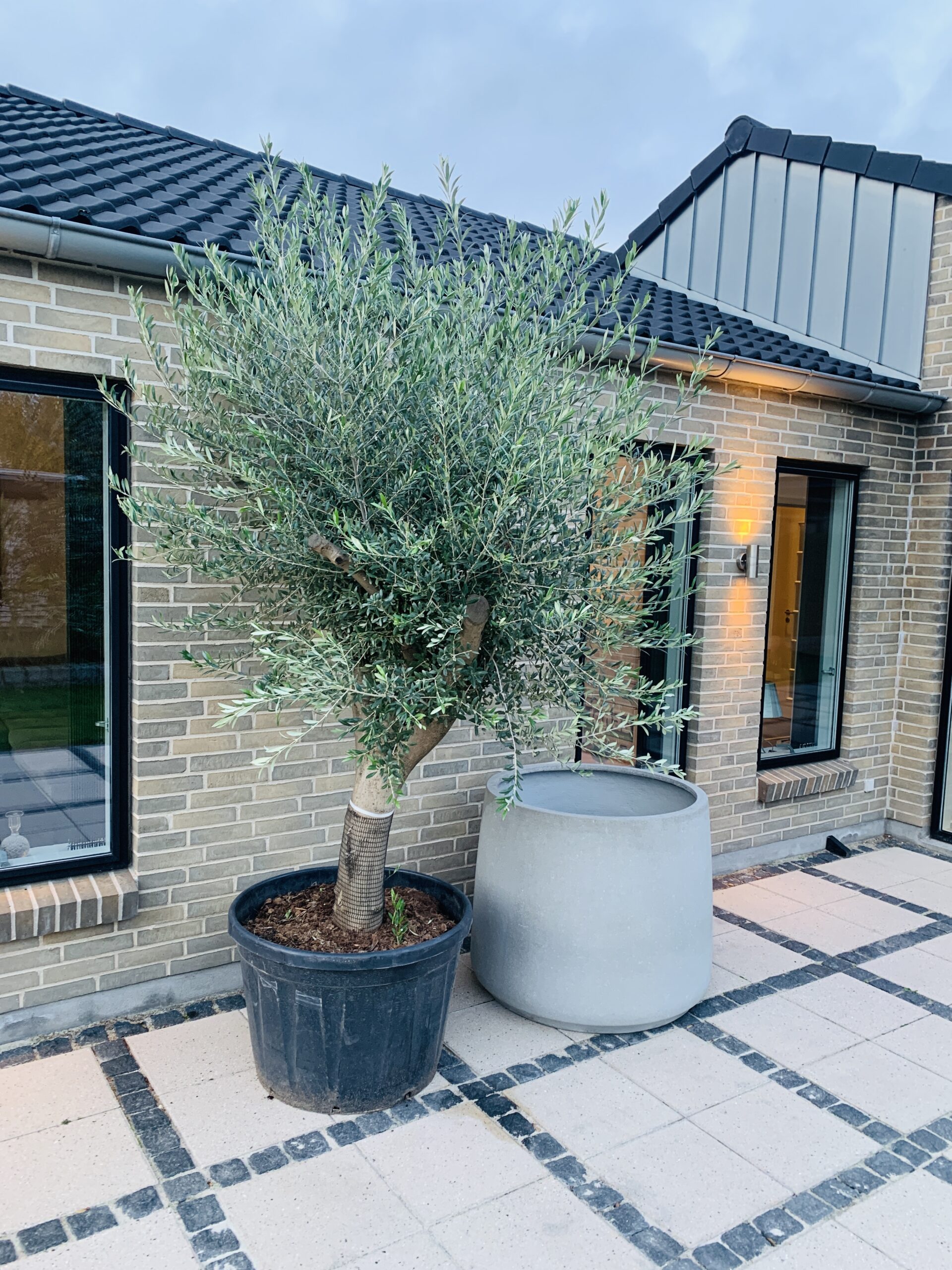 Endnu en glad kunde! – Dansk Oliven Import